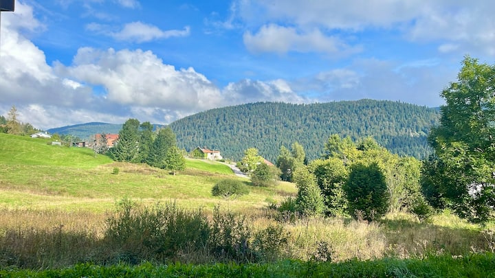 Aux Pieds
 Des Sapins Vosgiens - Gérardmer