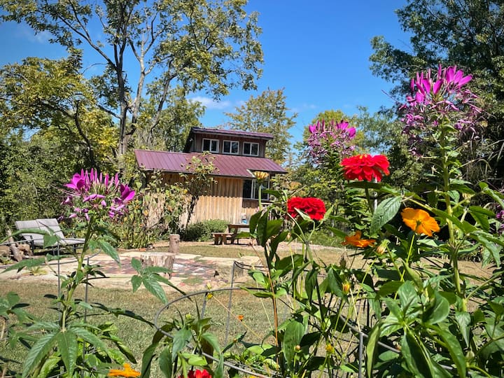 Cozy Cabin On The Ridge - Ohio