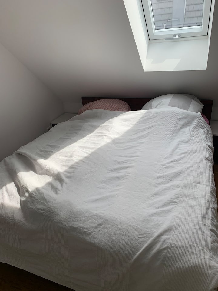 Gemütliches Dg Zimmer, Priv. Bad - Munich