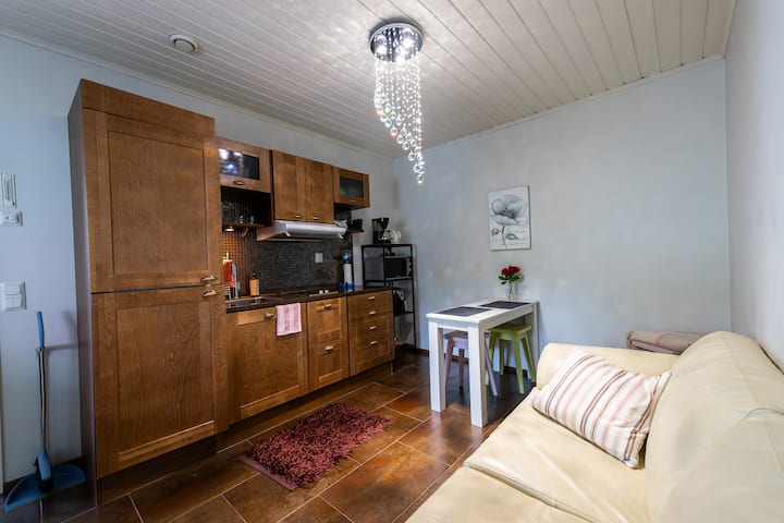 Saunallinen Erillistalo Omakotitalon Pihapiirissä - Porvoo