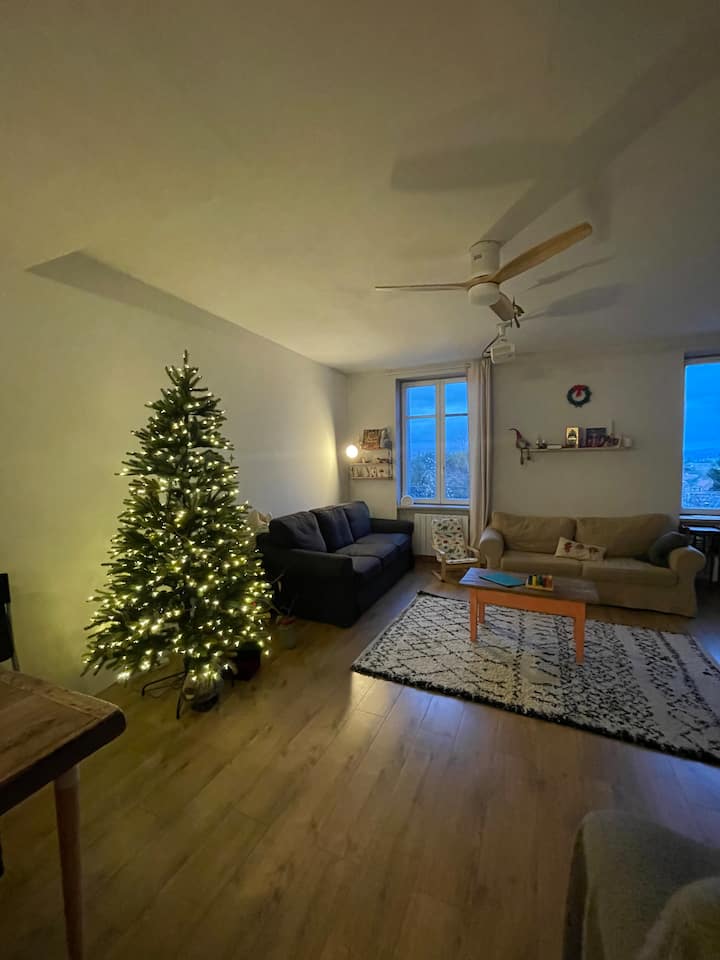 Duplex Lyon-caluire - Miribel