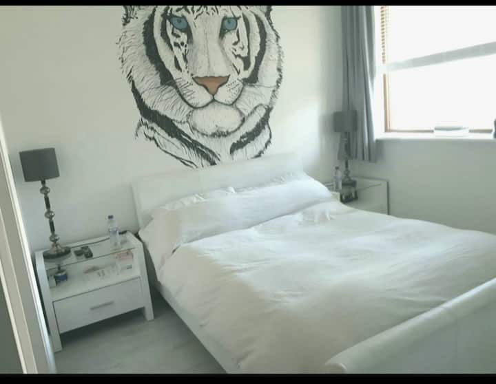 Luxury 1 Double Bedroom With Privet Bathroom - Dublin