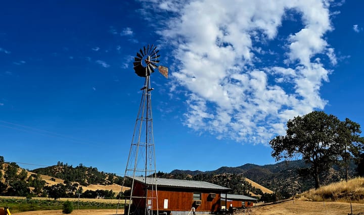 Hollister Hills Special. Pinnacles Park & Wineries - Hollister Hills State Vehicular Recreation Area, Hollister