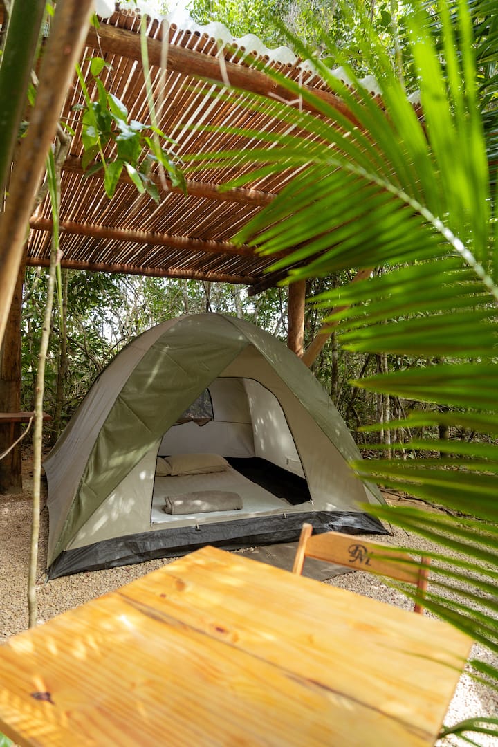 Camping Na Floresta Em Alto Paraíso - Goiás