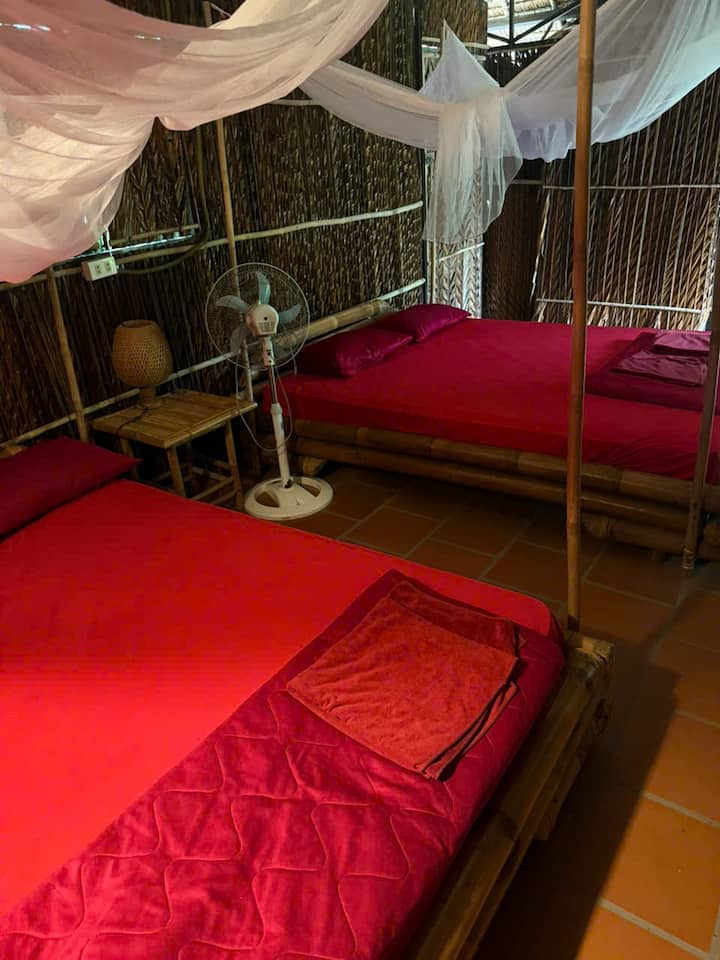 Bungalow Gia Dinh ( 5 Nguoi ) - Tỉnh Hậu Giang