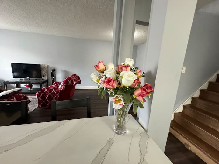 Beautiful House & A Private Bedroom With Bath - Mississauga
