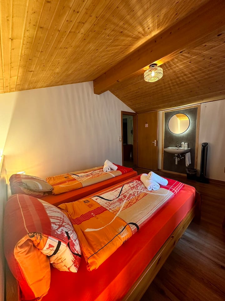 Double Room+breakfast+parking+shared Bathroom7a - Brienz