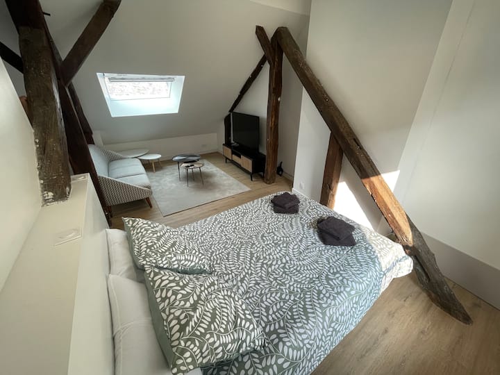 ÉCrin De Charme Sous Les Toits, Au Cœur De Saumur - Saumur