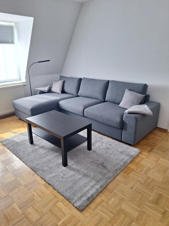 Wohnung "Striesenbleibe" - Hell Und Gemütlich - Dresden