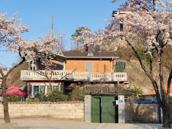 4242온다 - 영월읍