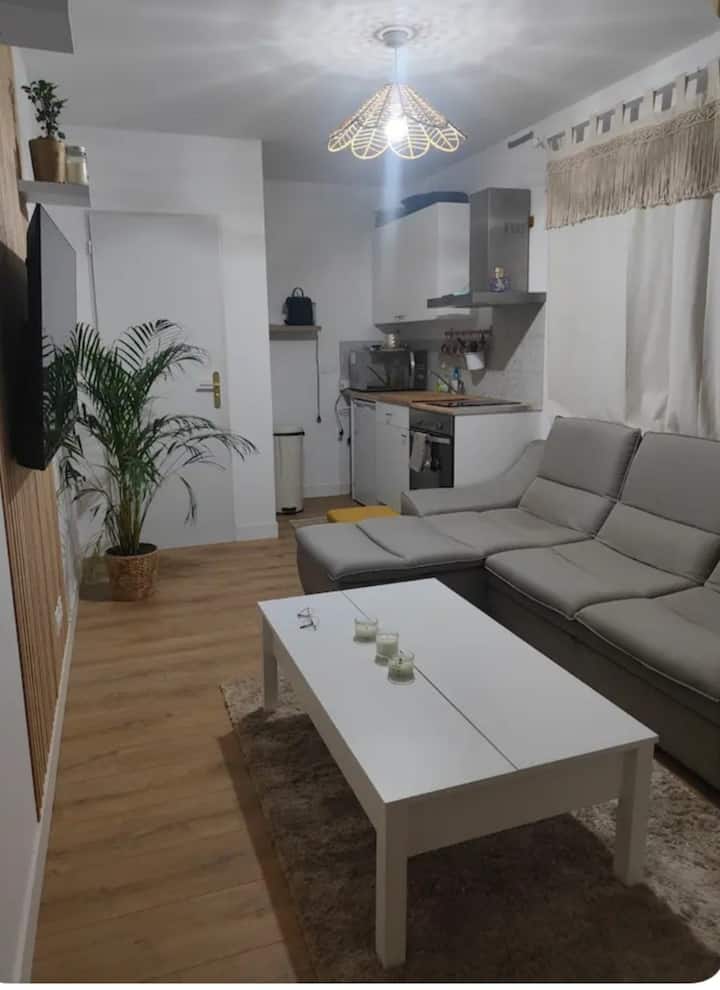 Appartement Duplex - Loiret
