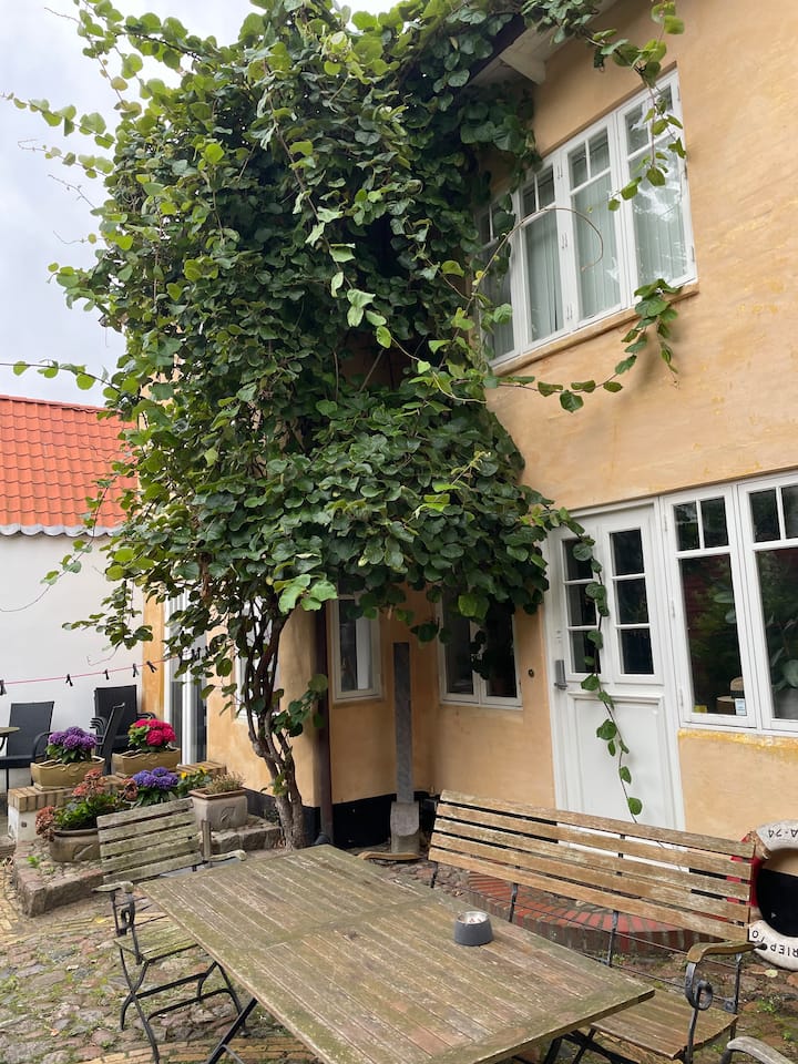 Huset I Den Gamle Del Af Byen - Sønderborg