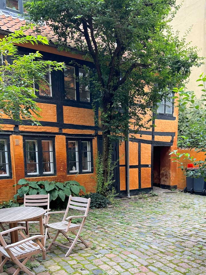 Apartment In The Historic Center - Copenhague