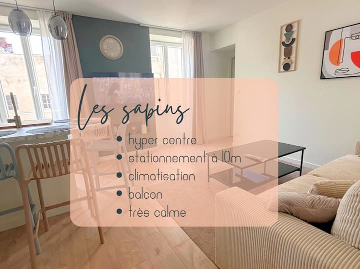 Les Sapins*: 4 Pers. Climatisation-hyper Centre - Lons-le-Saunier