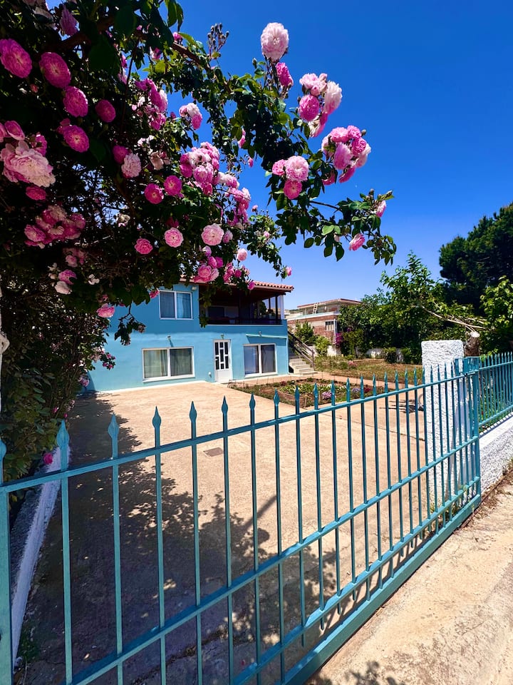 Charmy Blue - Aéroport d'Athènes Eleftherios Venizelos (ATH)