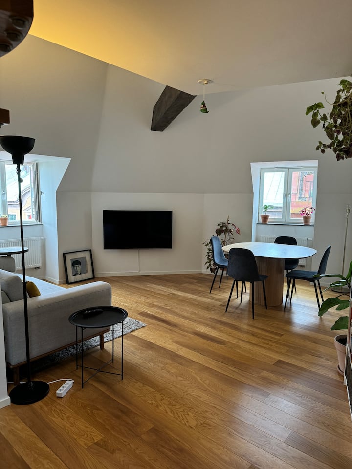 Duplex In The Heart Of Malmö - Malmö