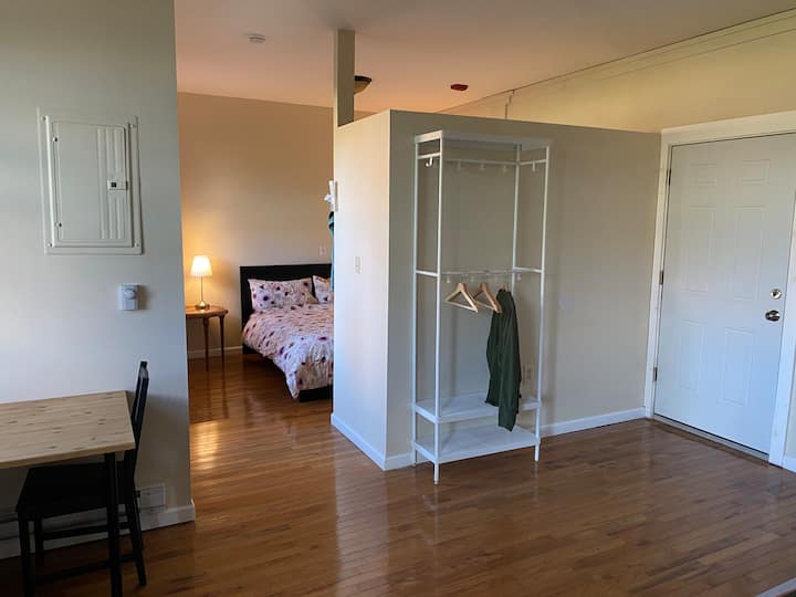 Pet Friendly Apt In Arena District W/ Parking - Detroit, MI