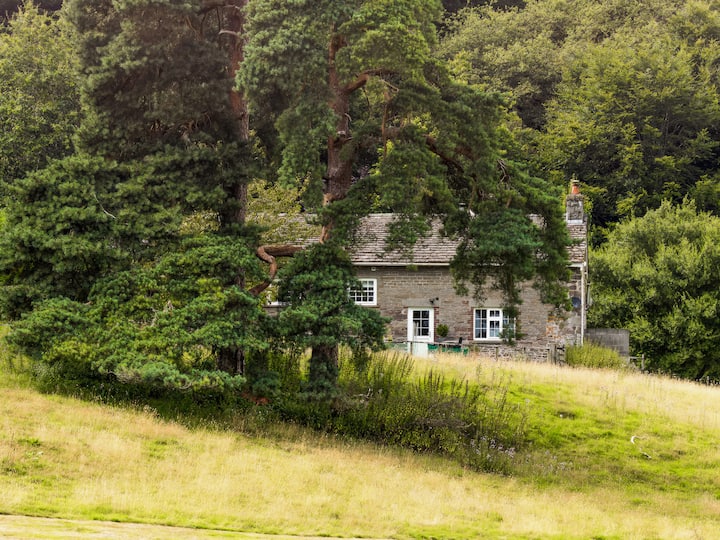 The Library - Uk46649 - Crickhowell