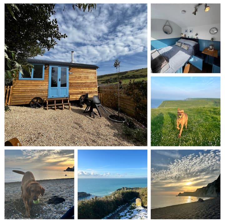 Bindon Burrow, Lulworth Cove. - West Lulworth