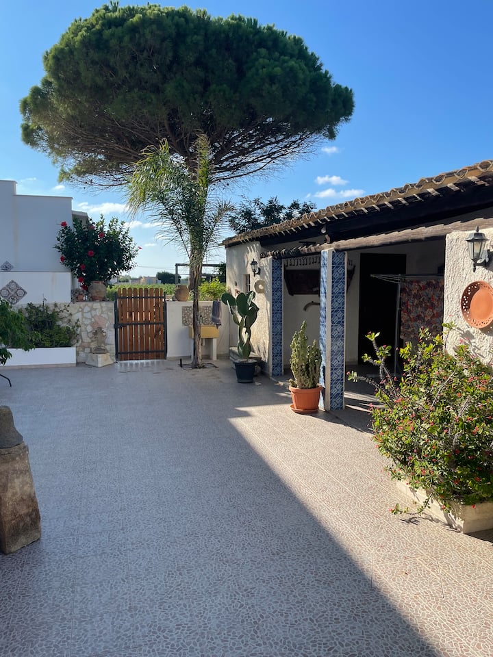 The House In The Vineyard - Marsala