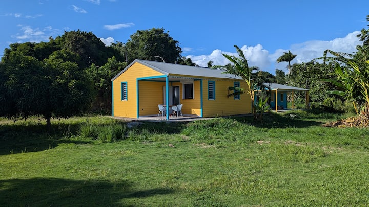 Bungalow Dans Un Jardin Tropical - Guadeloupe
