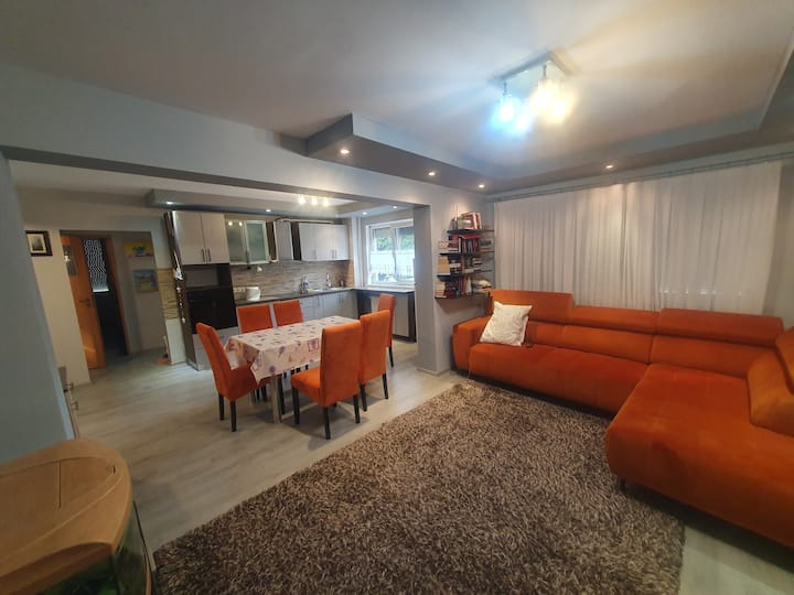 Mimosa Iosia, Free Parking ,Near Center - Oradea