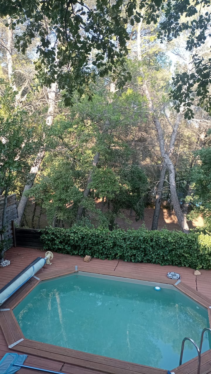 Chambre Vue Piscine - Rousset