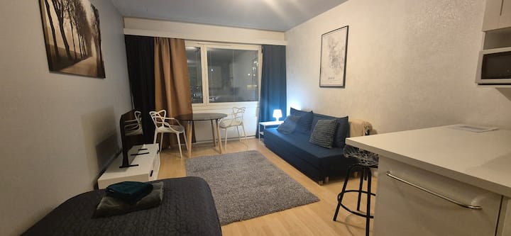 Comfortable Citystudio In Green Area, Free Parking - Kempele