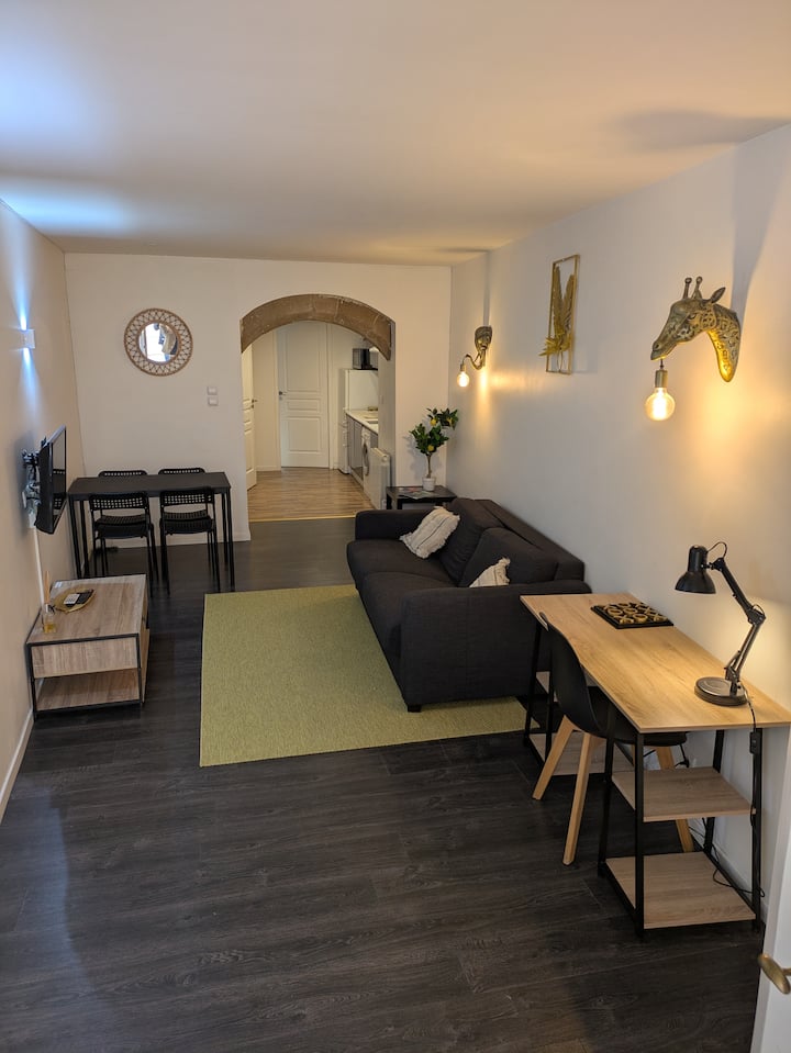 Logement Indépendant, Centre Historique Vienne - L'Odéon