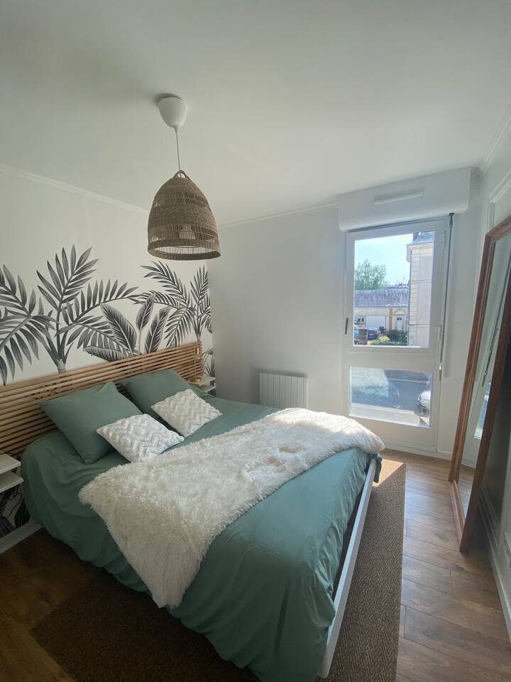 Chambre Dans Un Appartement - Le Mans