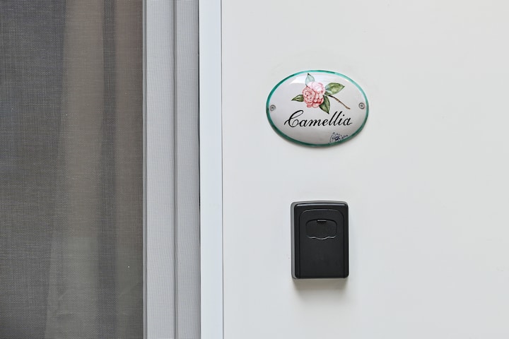 Lucia's Apartments - Camellia - Ischia