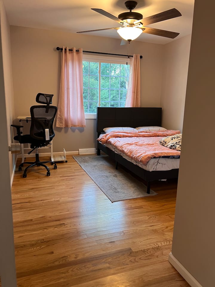 Stay In Albany’s Sleek Retreat(1bed) - Albany, NY