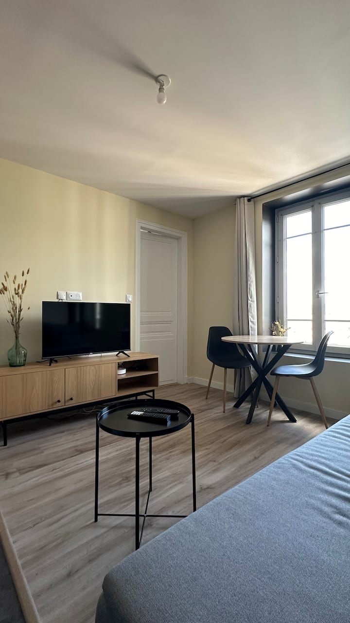Appartement Cosy Clinique Mathilde - ibis Rouen Centre Champ de Mars