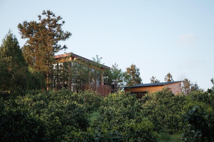 자연 속에서 '본연의 나'로 돌아가는 치유의 시간, 여여(Yeoyeo) - Jeju-si