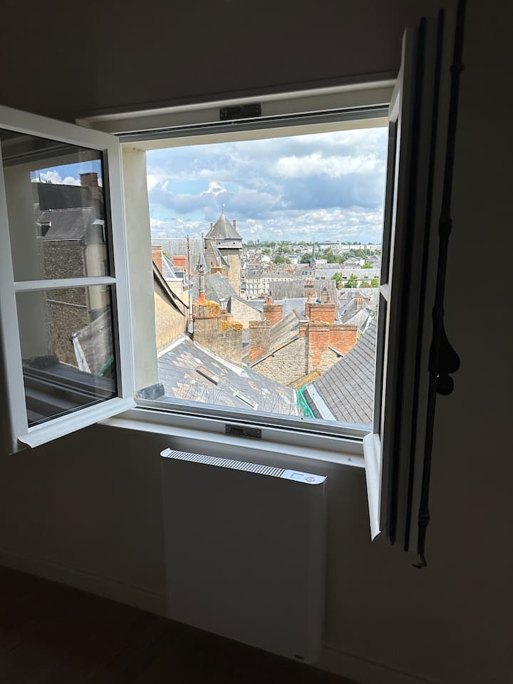 Appartement Plein Cœur De Ville - Laval