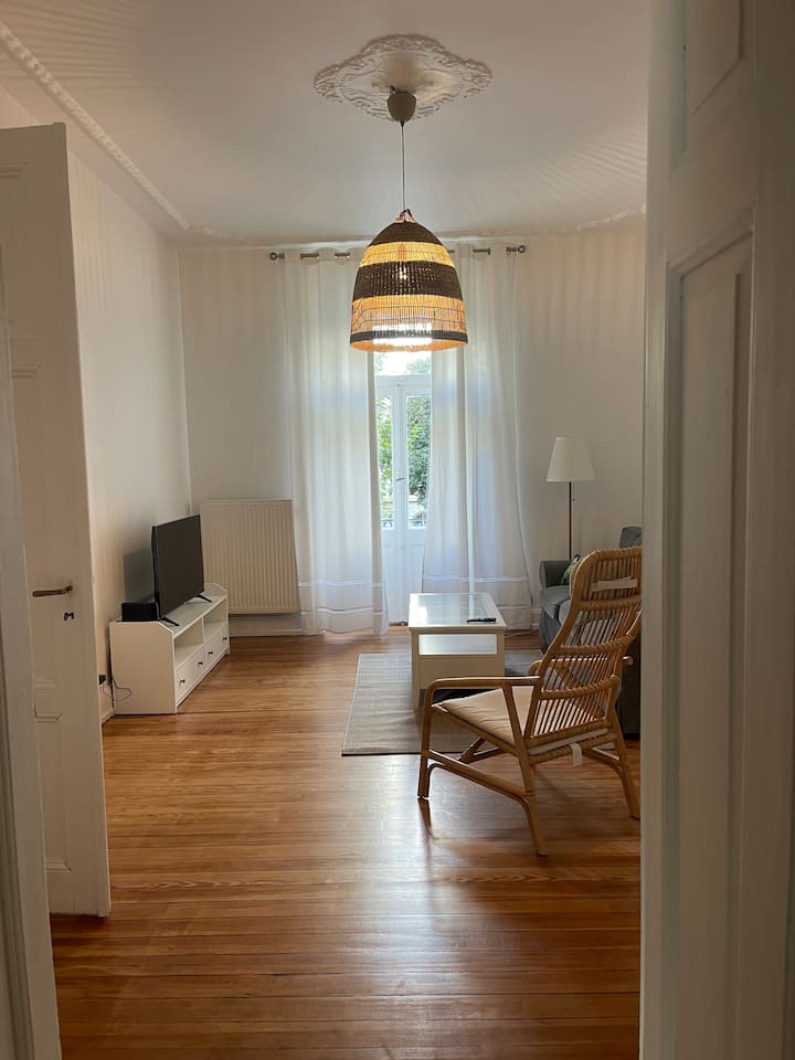 Magnifique Et Grand Appartement - Strasbourg