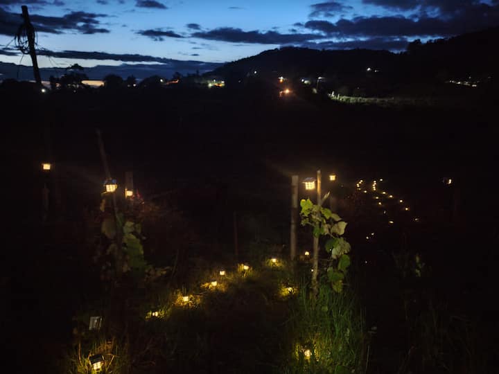 Aire Puro, Luciérnagas, Jacuzzi, Sauna Y Asador - Fusagasugá