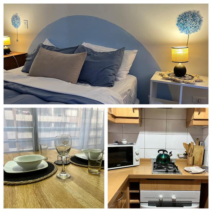 Departamento Santiago Centro Romántico - Santiago