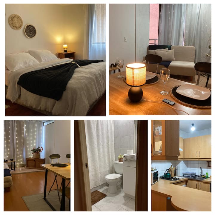 Departamento Santiago Centro - Santiago