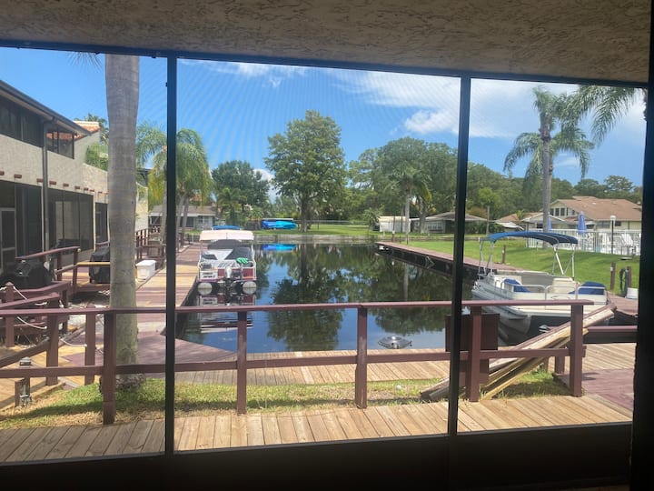 Lake Lounge - Palm Harbor, FL