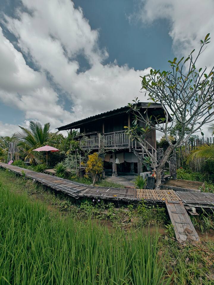เฮือนของขวัญ - Chom Thong District