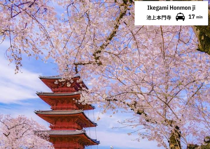 【3月春セール】上質な旅を求める方へ/モダンな家/40㎡/カップル/日本各地への旅行に便利/長期お得 - Tokyo Haneda Airport (HND)