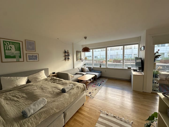 Bright & Central Apartment In Copenhagen - Copenhagen