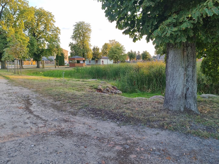 Ferienhaus In Natur - Werneuchen