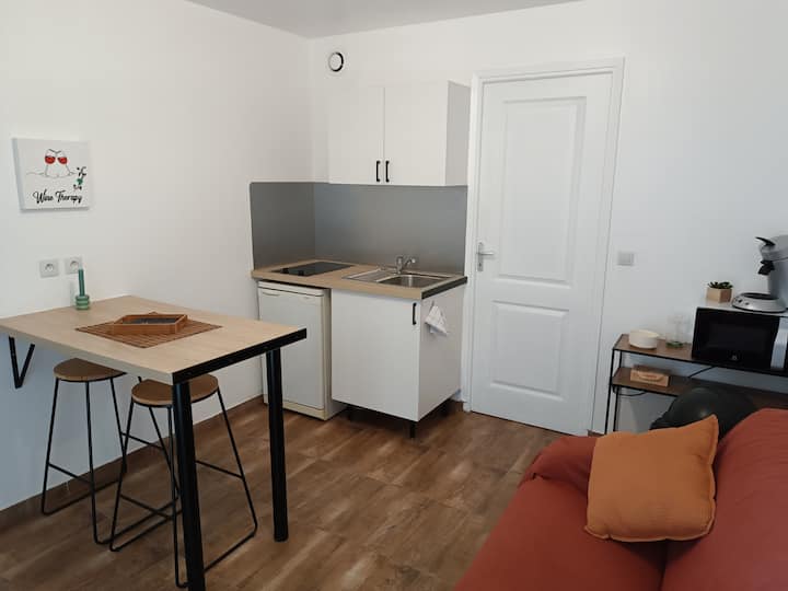 Appartement Centre - Montereau-Fault-Yonne