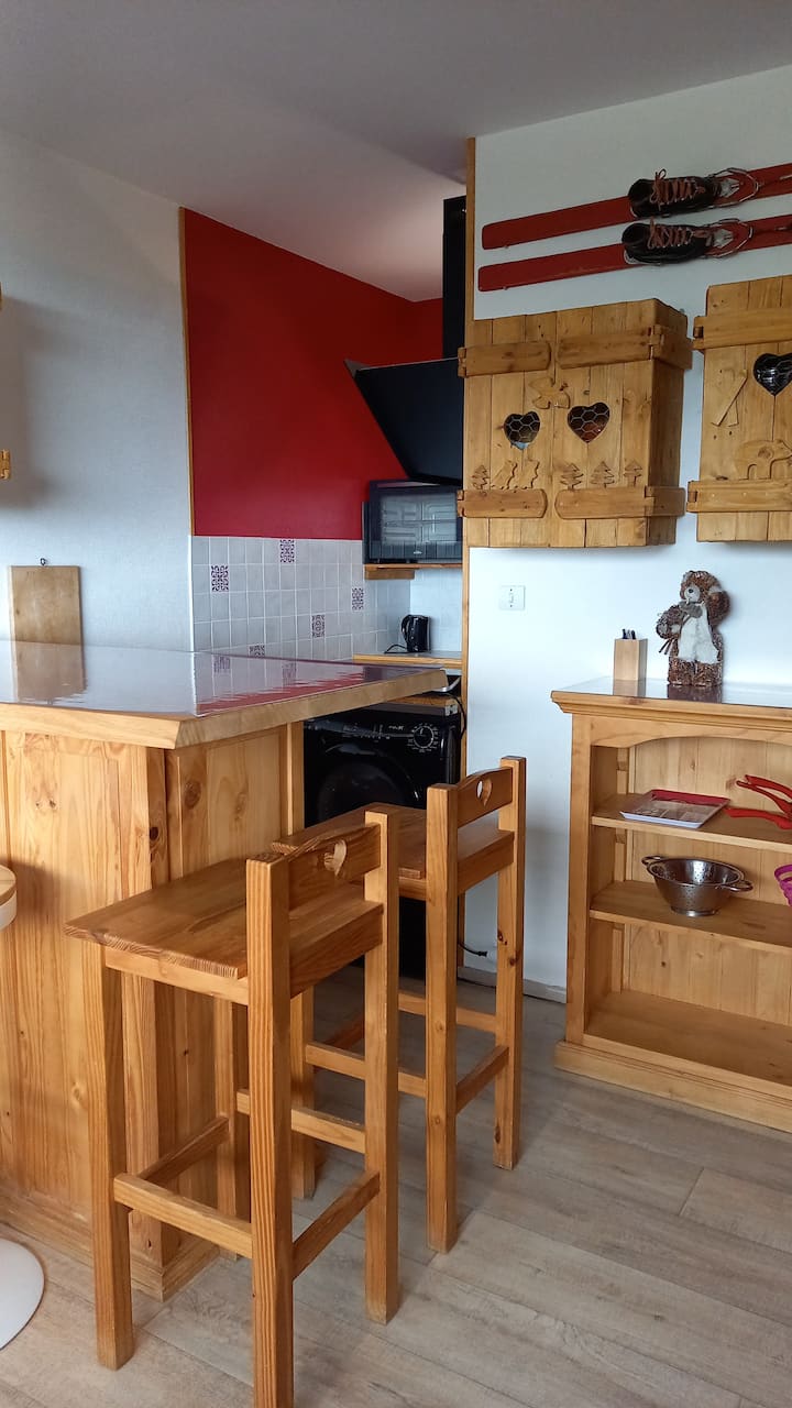 Charmant Studio 20m² Face Aux Pistes - Lac des Hermines