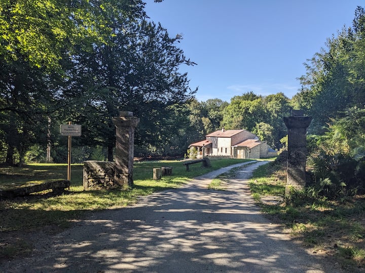 Maison Au Cœur De La Forêt Dans Le Sidobre - Gr36 - Tarn