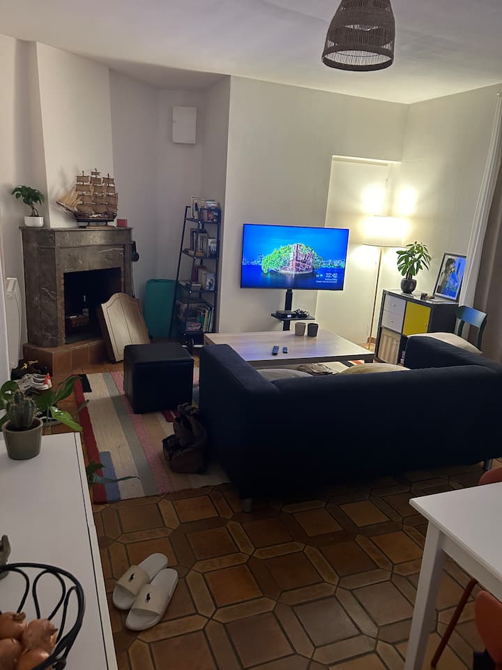 Appartement Avec Cour Privative - Rennes