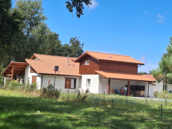 Maison Familiale Entre Forêt Et Océan. - Mimizan