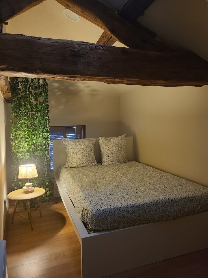 Joli Duplex En Plein Cœur Du Centre Ville - Anse